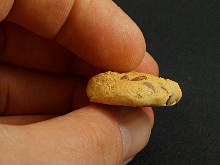 Magnet artisanal cookie réaliste